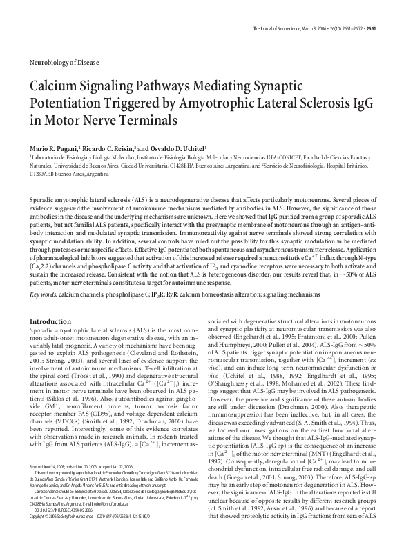 Calcium Signaling Pathways Mediating Synaptic Potentiation Triggered by ...
