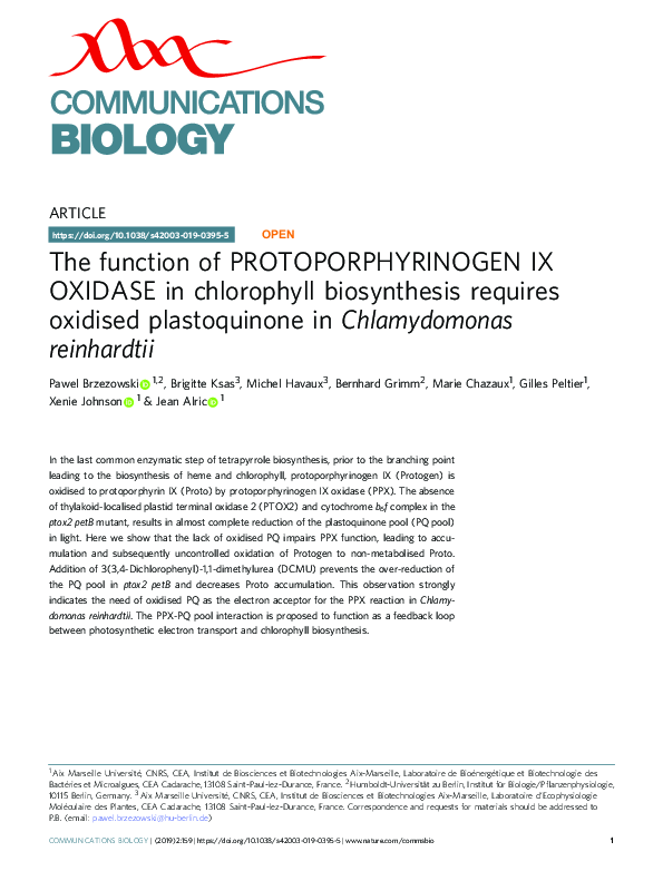 (PDF) The function of PROTOPORPHYRINOGEN IX OXIDASE in chlorophyll ...