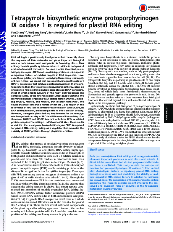 (PDF) Tetrapyrrole biosynthetic enzyme protoporphyrinogen IX oxidase 1 ...