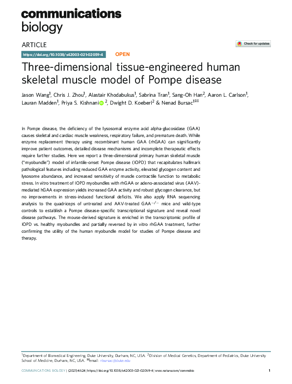 (PDF) Three-dimensional tissue-engineered human skeletal muscle model ...
