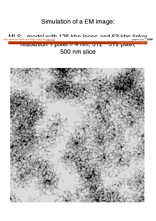 (PDF) 3D Simulation of Nucleus Electron Microscopy