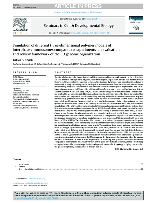 (PDF) Simulation of different three-dimensional polymer models of ...