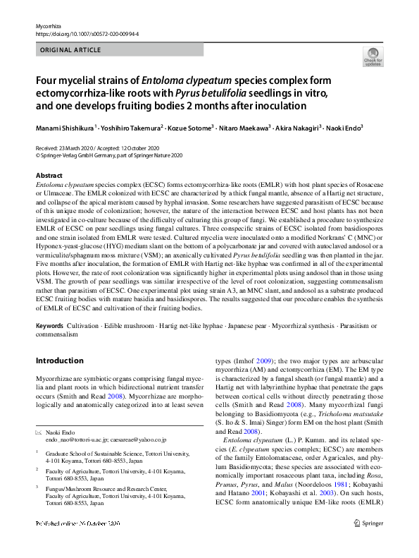 (PDF) Four mycelial strains of Entoloma clypeatum species complex form ...