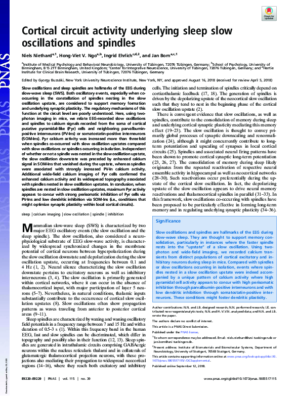 (PDF) Cortical circuit activity underlying sleep slow oscillations and spindles