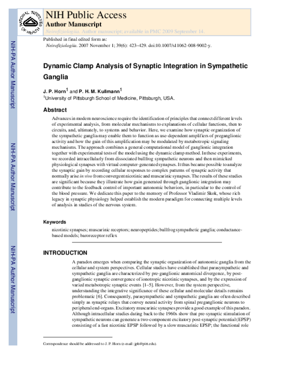 (PDF) Dynamic clamp analysis of synaptic integration in sympathetic ganglia