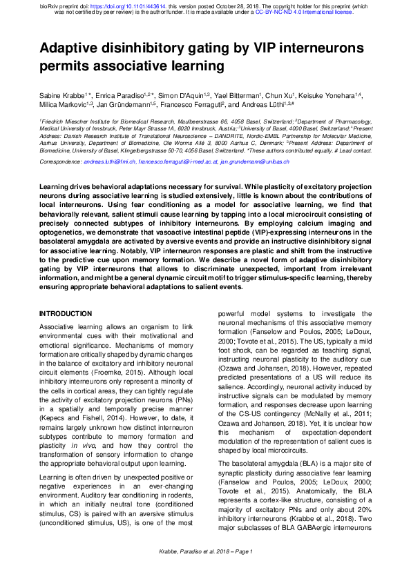 (PDF) Adaptive disinhibitory gating by VIP interneurons permits ...