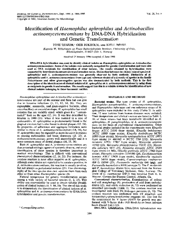 (PDF) Identification of Haemophilus aphrophilus and Actinobacillus ...
