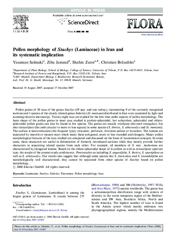 (PDF) Pollen morphology of Stachys (Lamiaceae) in Iran and its ...