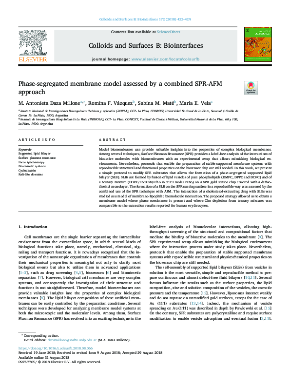 (PDF) Phase-segregated Membrane Model assessed by a combined SPR-AFM ...