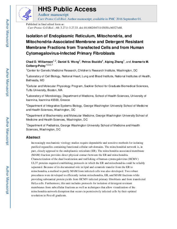(PDF) Isolation of Endoplasmic Reticulum, Mitochondria, and ...