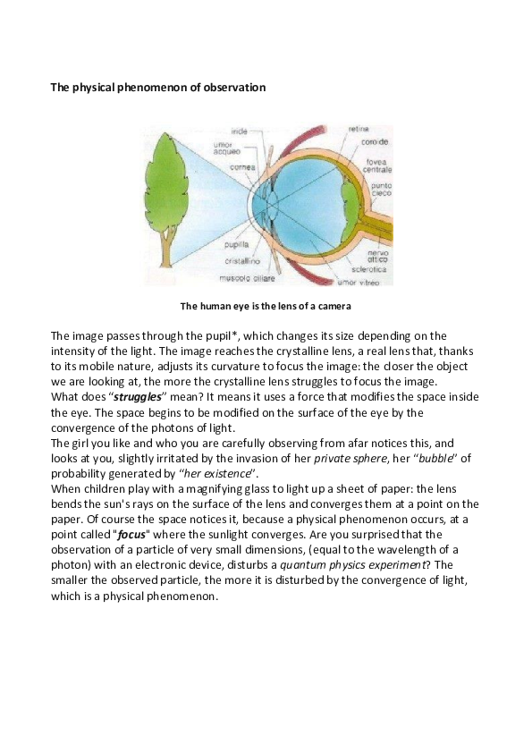 (PDF) The physical phenomenon of observation