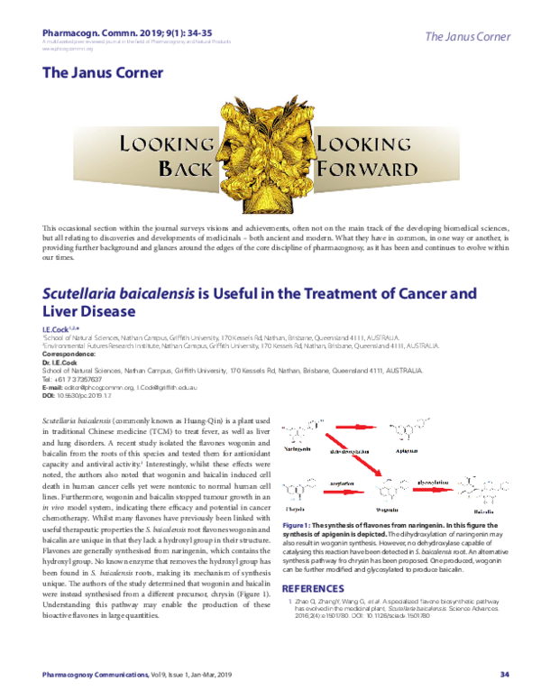 (PDF) The Janus Corner