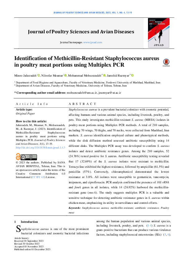 (PDF) Identification of Methicillin-Resistant Staphylococcus aureus in ...