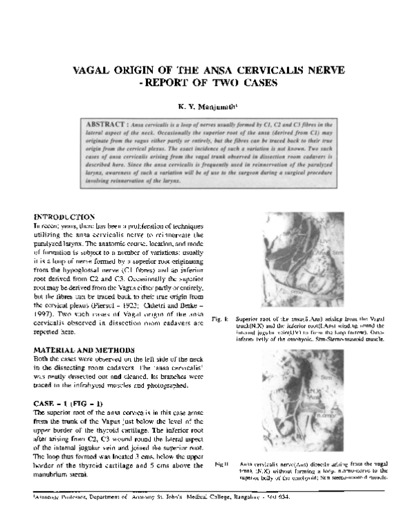 (PDF) Vagal origin of the ANSA cervicalis nerve – report of two cases