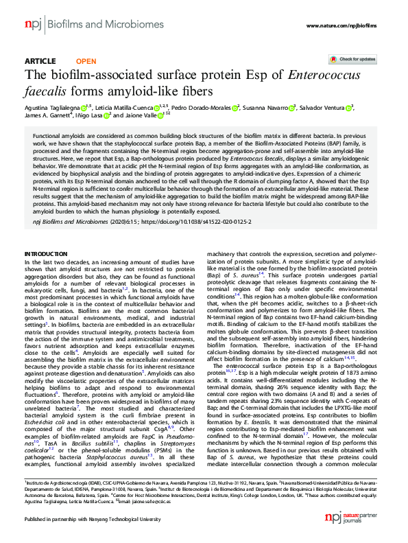 (PDF) The biofilm-associated surface protein Esp of Enterococcus ...
