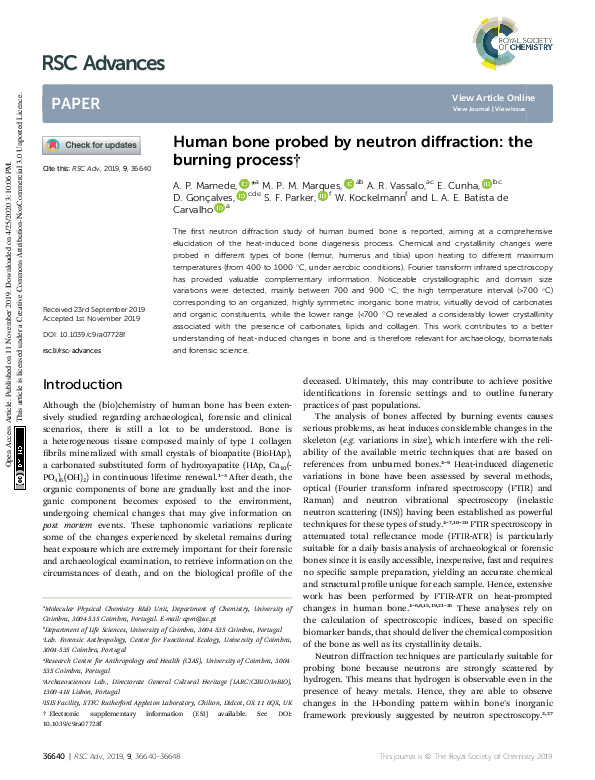 (PDF) Human bone probed by neutron diffraction: the burning process