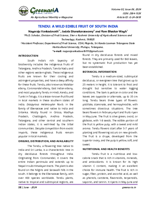 (PDF) TENDU: A WILD EDIBLE FRUIT OF SOUTH INDIA