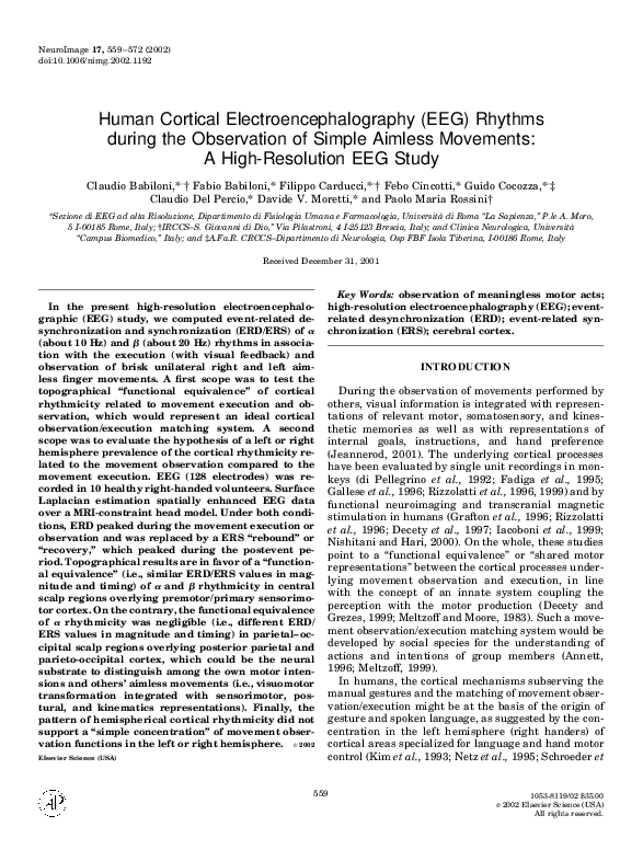 (PDF) Human Cortical Electroencephalography (EEG) Rhythms during the ...