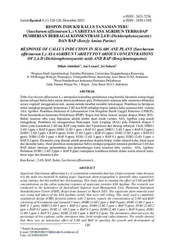 (PDF) RESPON INDUKSI KALUS TANAMAN TEBU (Saccharum officinarum L ...