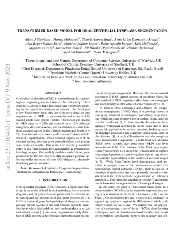 (PDF) Transformer-based Model for Oral Epithelial Dysplasia Segmentation