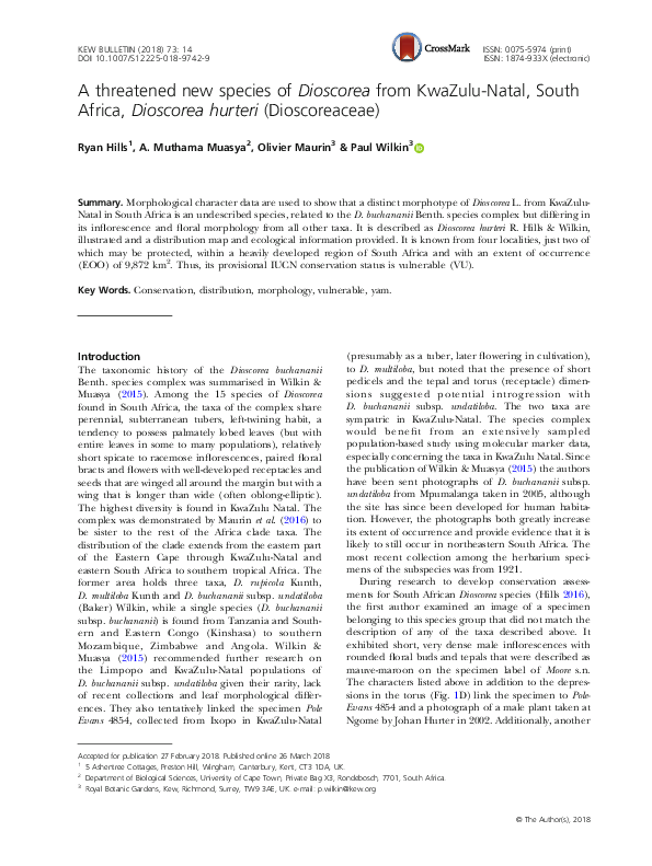 (PDF) A threatened new species of Dioscorea from KwaZulu-Natal, South ...