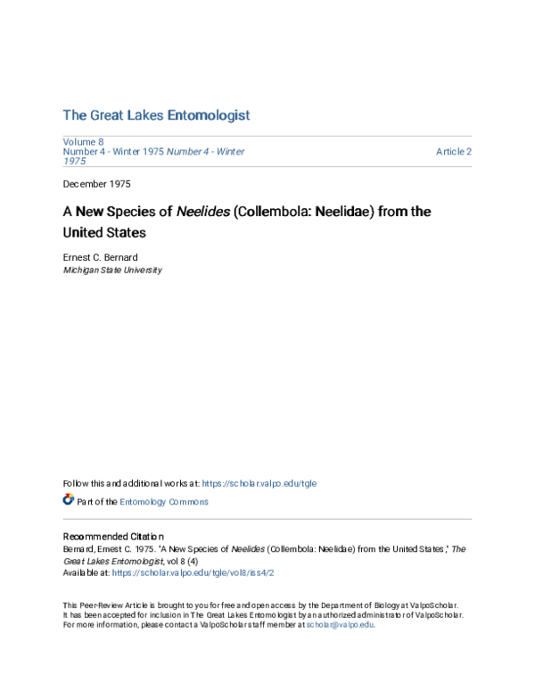 (PDF) A New Species of Neelides (Collembola: Neelidae) from the United ...