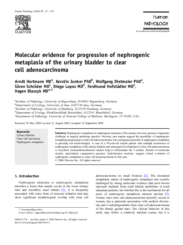 (PDF) Molecular evidence for progression of nephrogenic metaplasia of ...