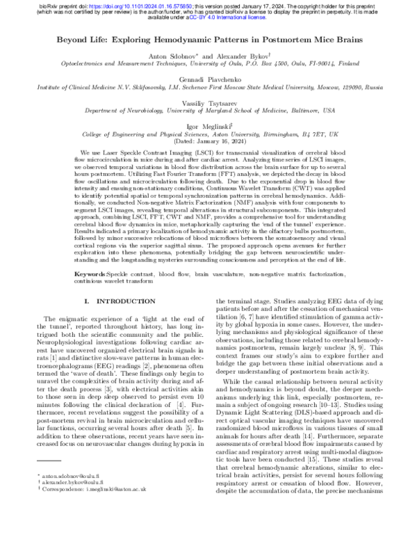 (PDF) Beyond Life: Exploring Hemodynamic Patterns in Postmortem Mice Brains
