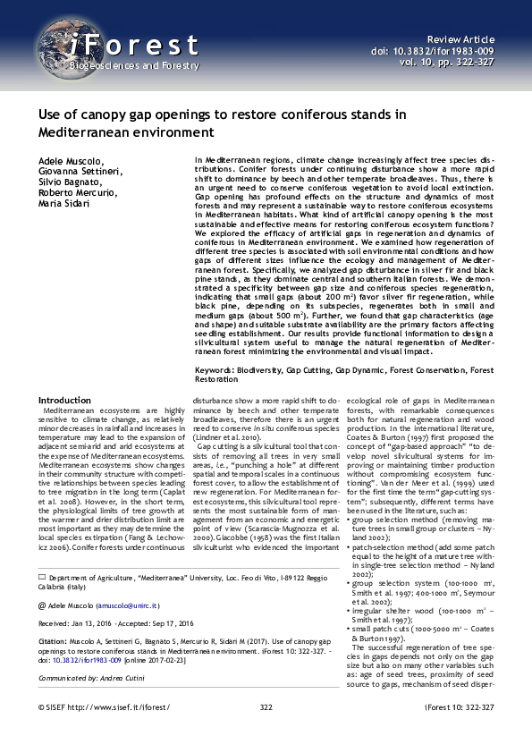 (PDF) Use of canopy gap openings to restore coniferous stands in ...