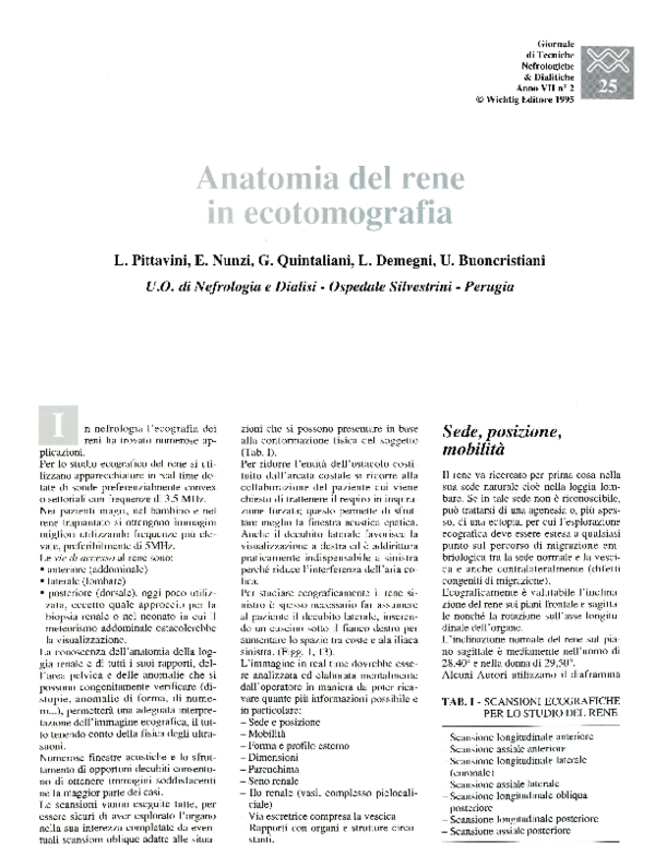 (PDF) Anatomia Del Rene in Ecotomografia