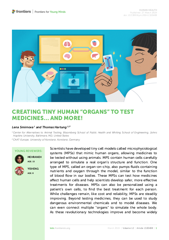 (PDF) Creating Tiny Human “Organs” to Test medicines… and More!