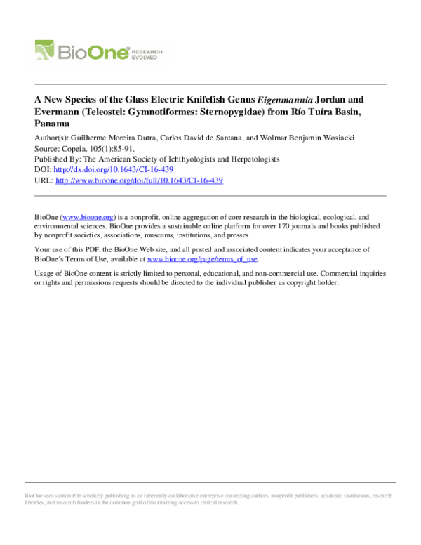 (PDF) A New Species of the Glass Electric Knifefish ...