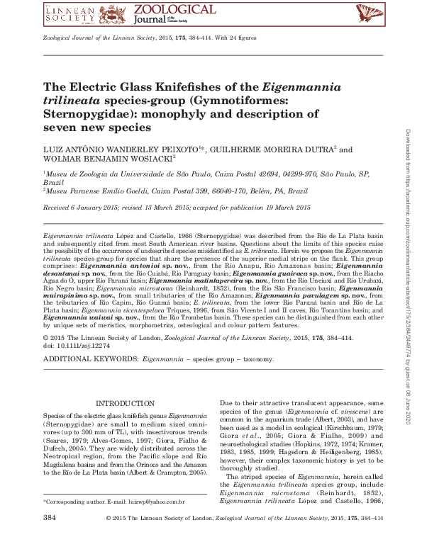 (PDF) The Electric Glass Knifefishes of the Eigenmannia trilineata ...