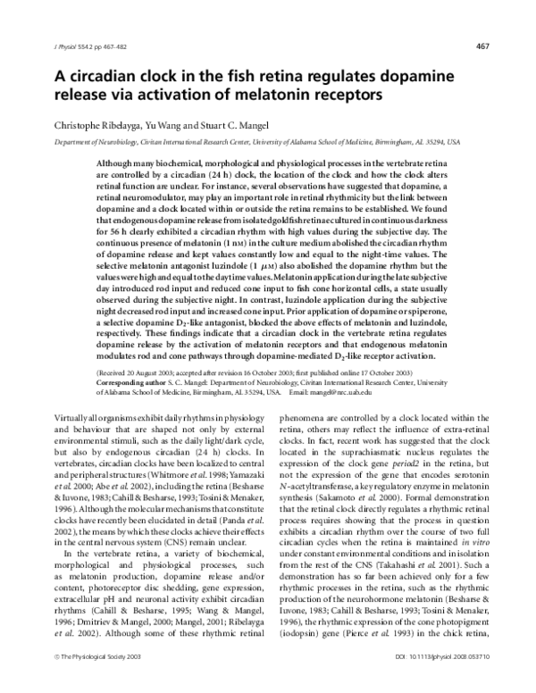 (PDF) A circadian clock in the fish retina regulates dopamine release ...
