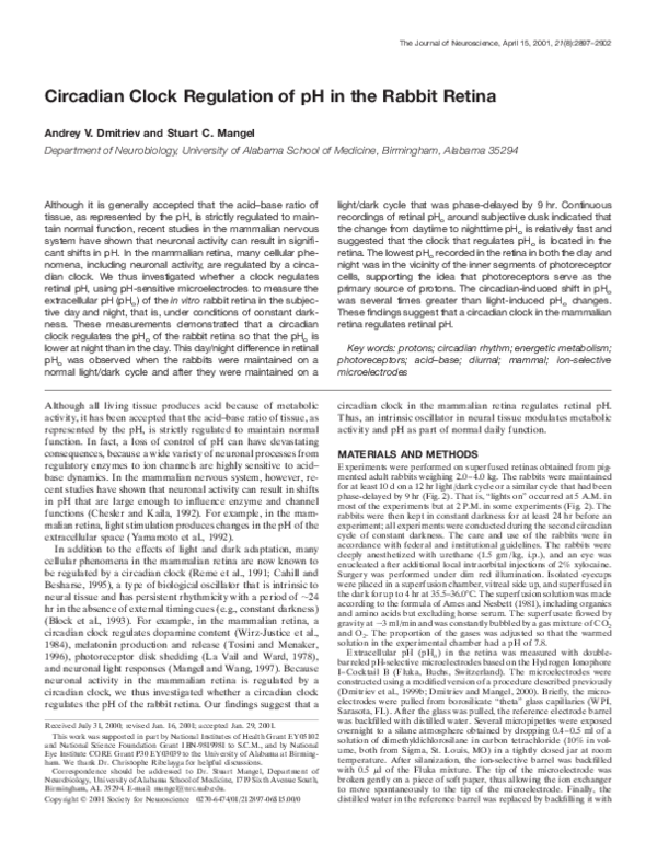 (PDF) Circadian Clock Regulation of pH in the Rabbit Retina