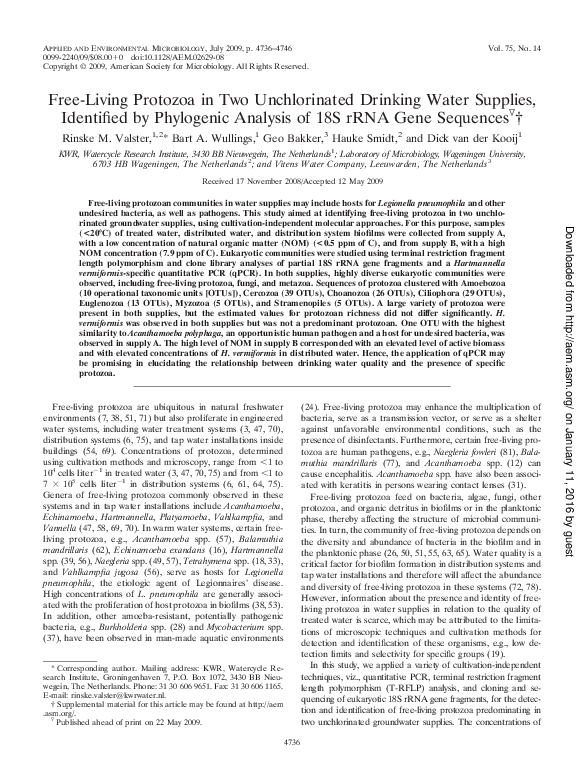 (PDF) Free-Living Protozoa in Two Unchlorinated Drinking Water Supplies ...