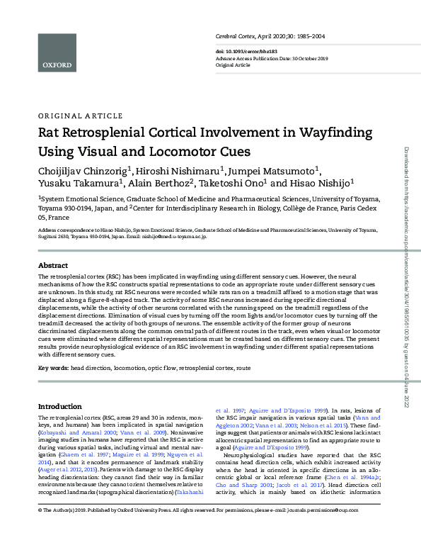 (PDF) Rat Retrosplenial Cortical Involvement in Wayfinding Using Visual ...