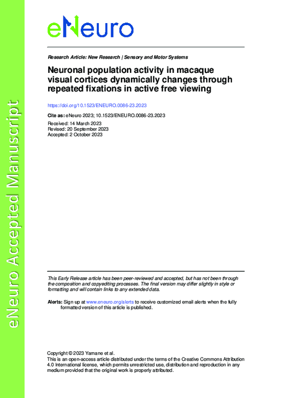 (PDF) Neuronal population activity in macaque visual cortices dynamically changes through ...