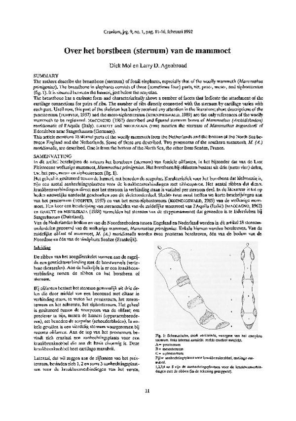 (PDF) Over het borstbeen (sternum) van de mammoet