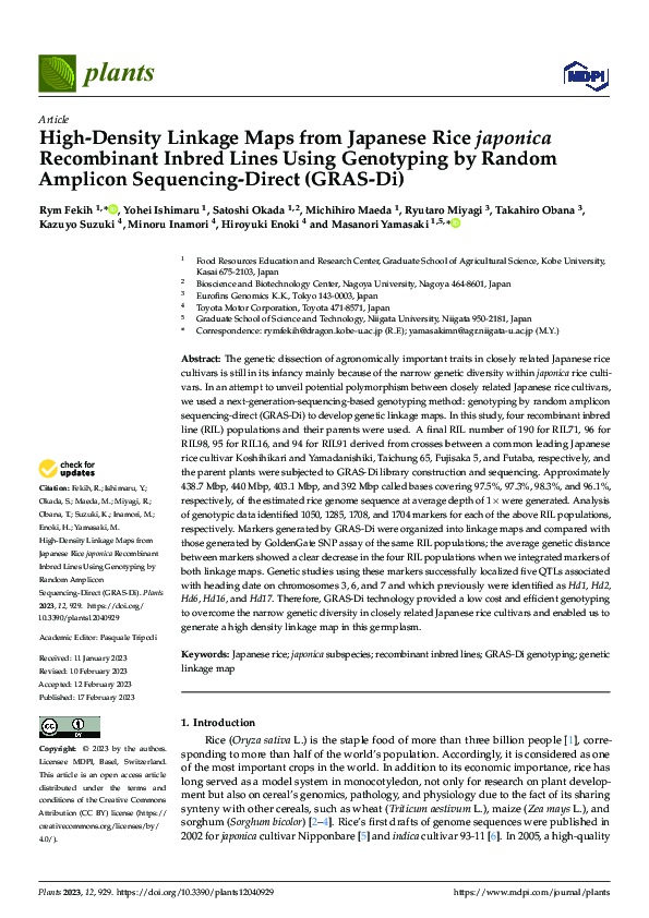 (PDF) High-Density Linkage Maps from Japanese Rice japonica Recombinant ...