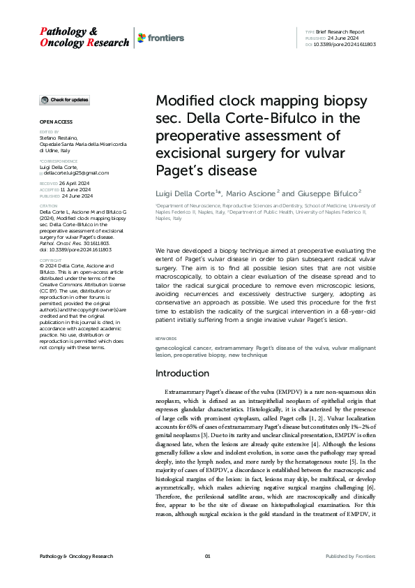 (PDF) Modified clock mapping biopsy sec. Della Corte-Bifulco in the ...