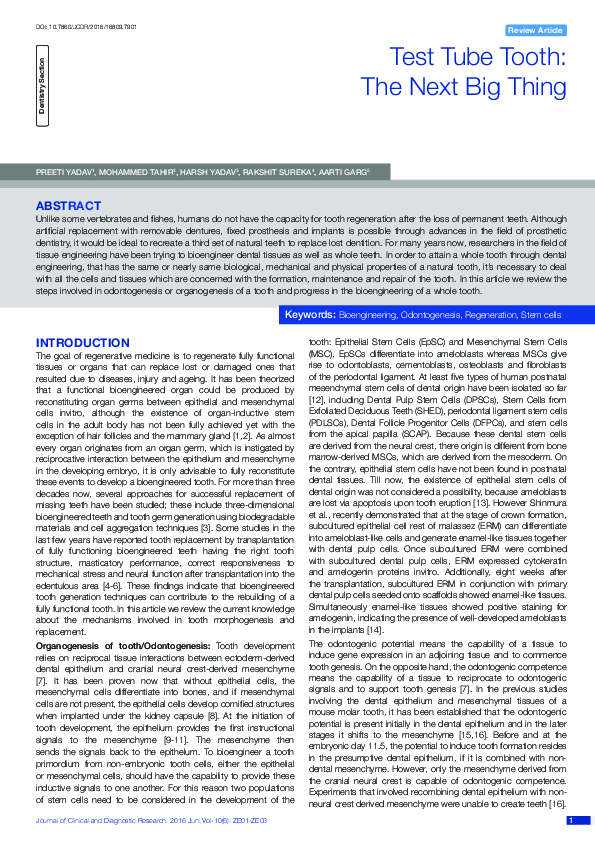 (PDF) Test Tube Tooth: The Next Big Thing