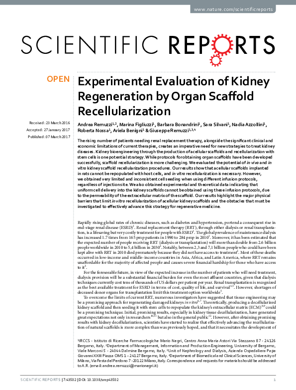 (PDF) Experimental Evaluation of Kidney Regeneration by Organ Scaffold ...