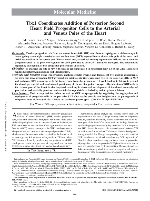 (PDF) Tbx1 Coordinates Addition of Posterior Second Heart Field ...