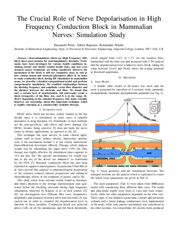 (PDF) The Crucial Role of Nerve Depolarisation in High Frequency ...