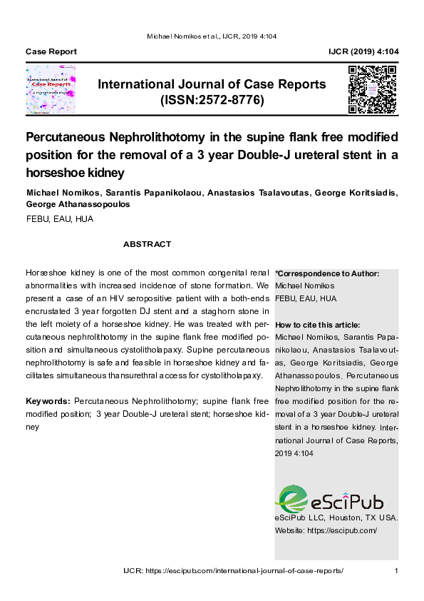 (PDF) Percutaneous Nephrolithotomy in the supine flank free modified ...