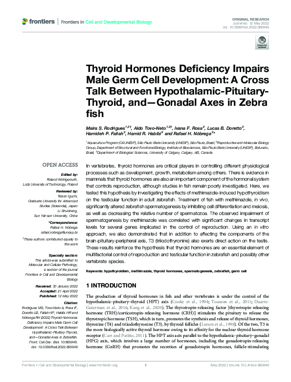 (PDF) Thyroid hormones deficiency impairs male germ cell development: a ...
