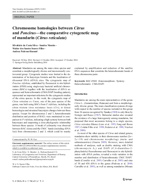(PDF) Chromosome homologies between Citrus and Poncirus—the comparative ...