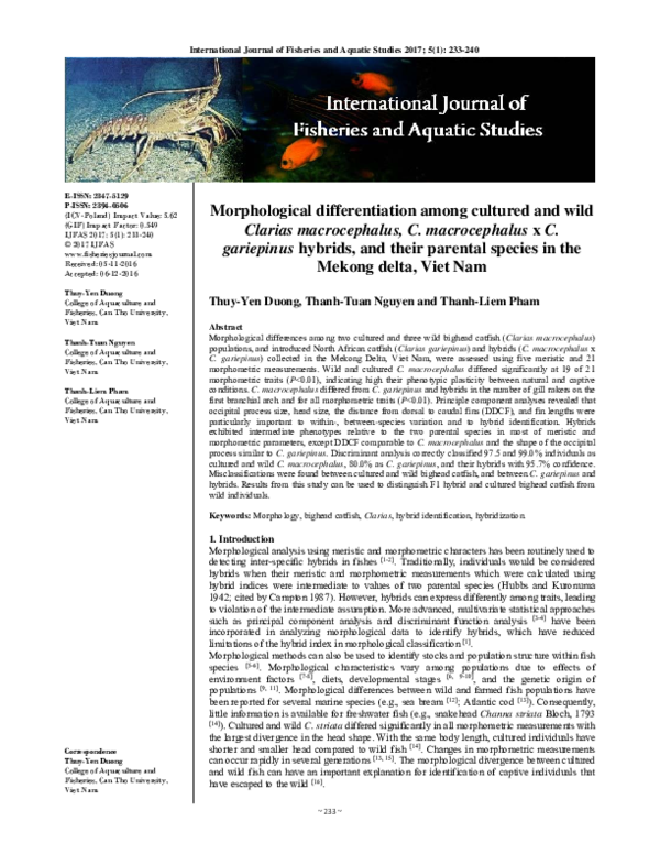 (PDF) Morphological differentiation among cultured and wild Clarias ...