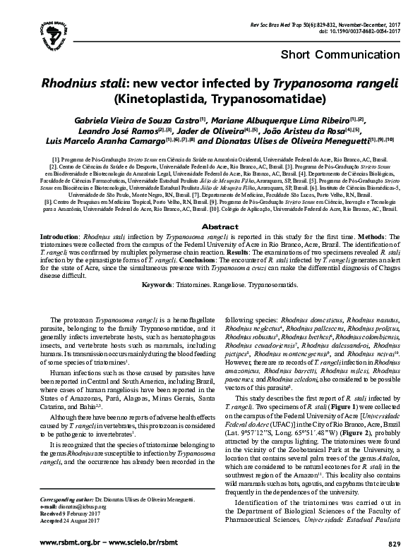 (PDF) Rhodnius stali: new vector infected by Trypanosoma rangeli ...